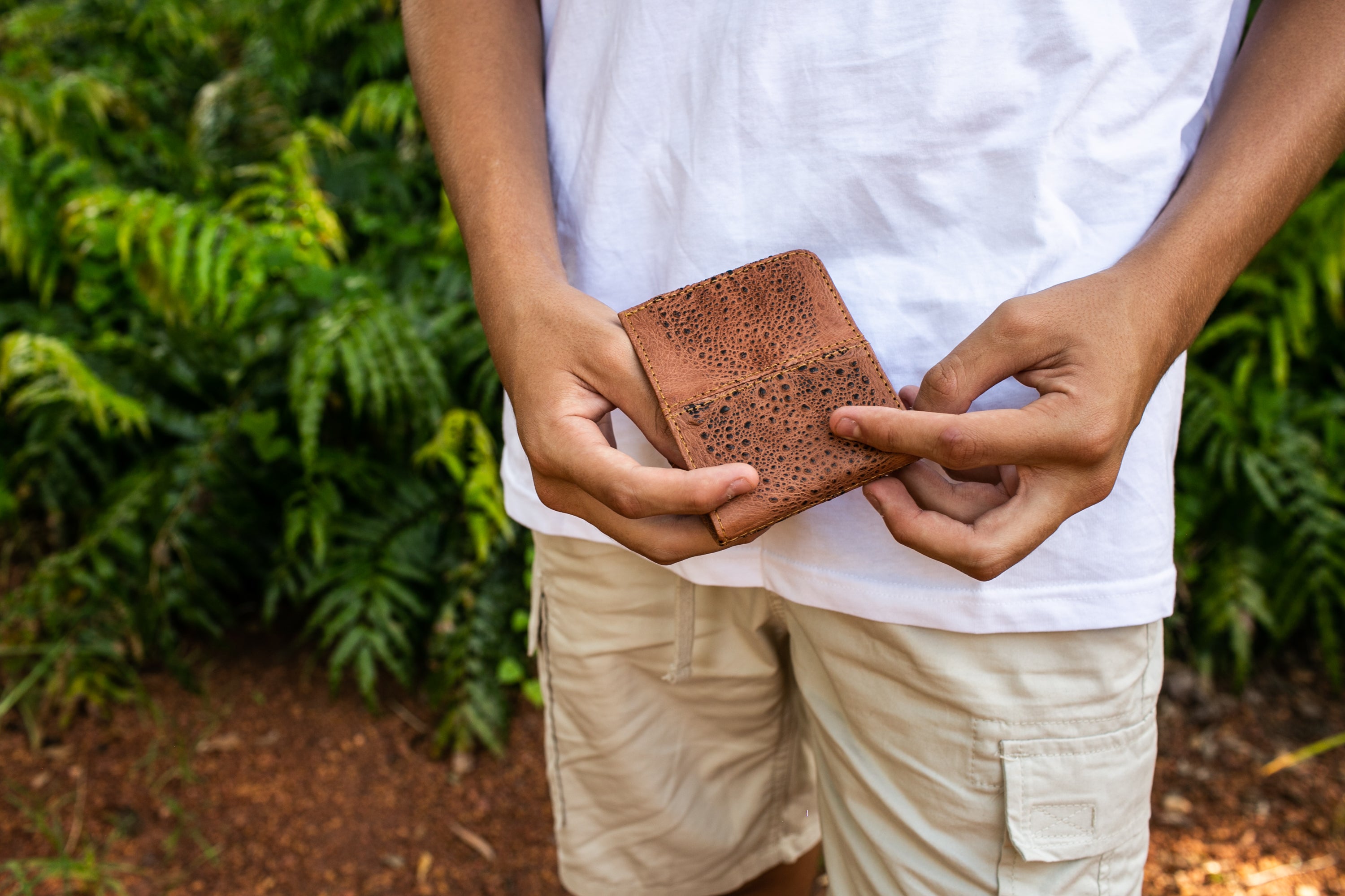 Cane Toad Skin Wallet – Crocodile Darwin