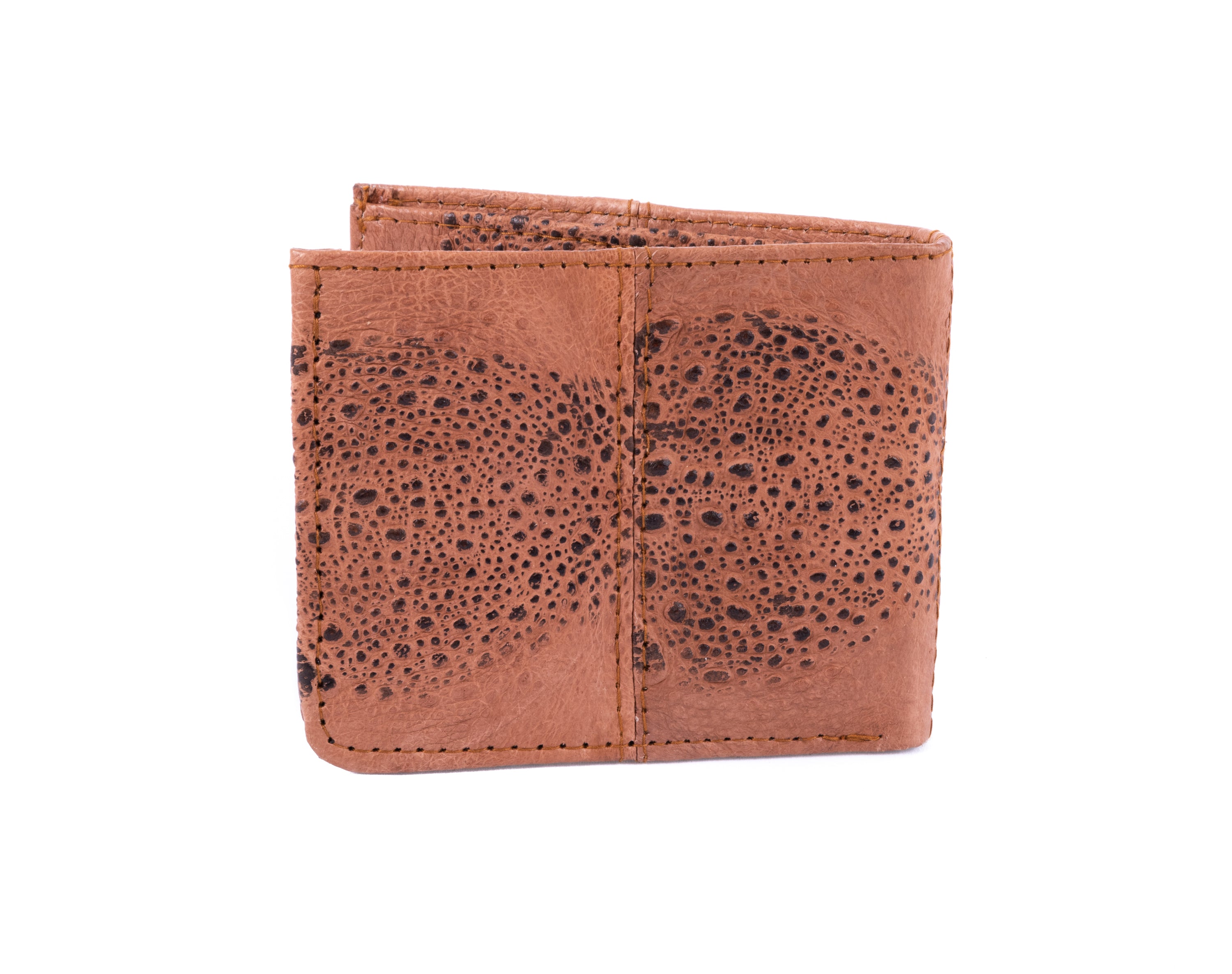 Cane Toad Skin Wallet – Crocodile Darwin