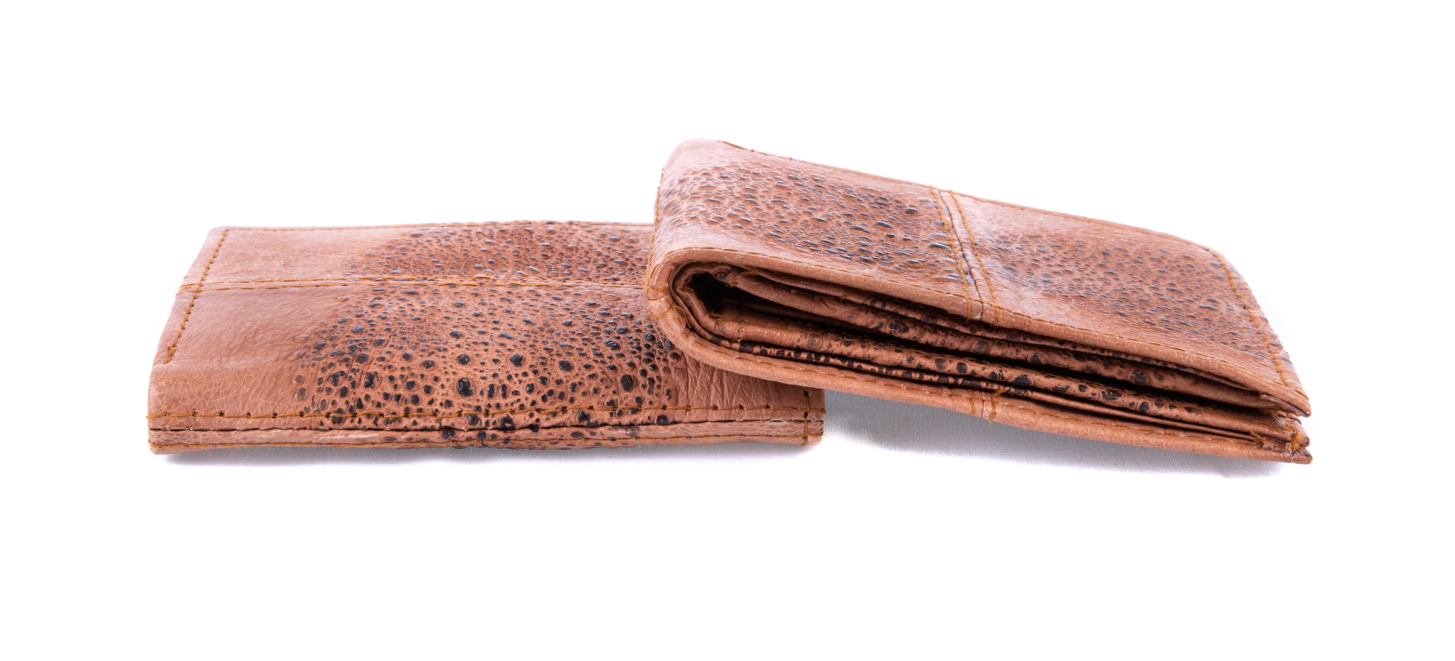 Cane Toad Skin Wallet – Crocodile Darwin