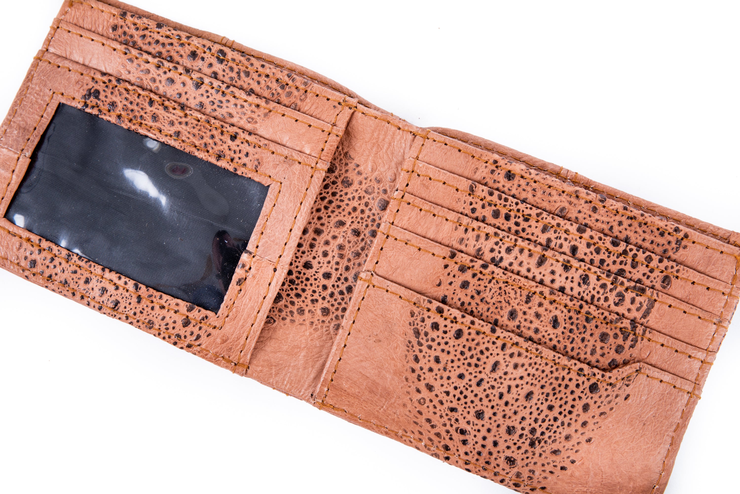 Cane Toad Skin Wallet – Crocodile Darwin